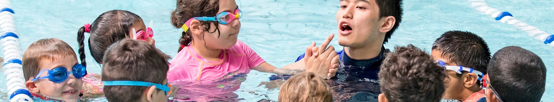 Professional Development Portal – RLSSA NSW